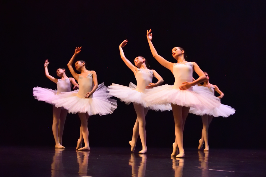 Stages et Ateliers | Le centre PLD